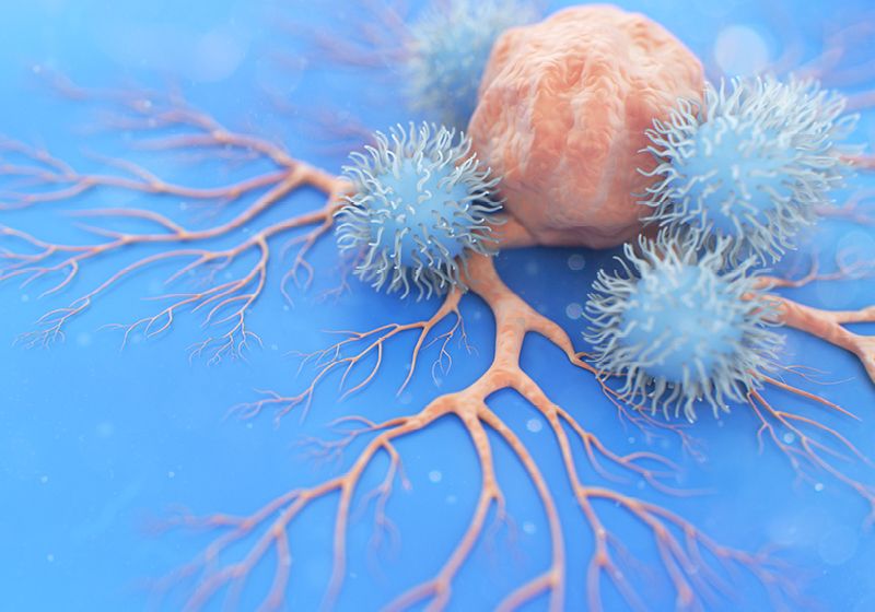 Analyzing Multiple Dimensions of Cancer Biology | The Scientist