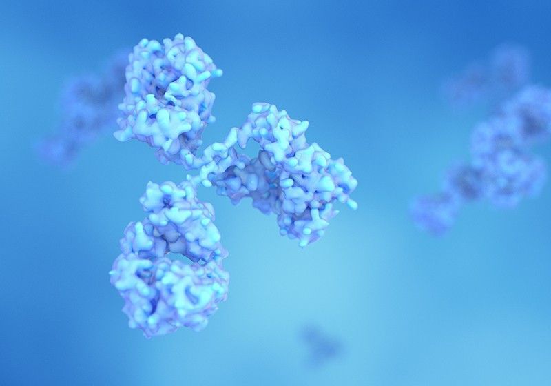 Shining a Light on Mass Photometry | The Scientist