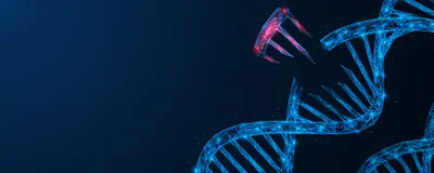 DNA Damage Viewed with Unprecedented Clarity | The Scientist