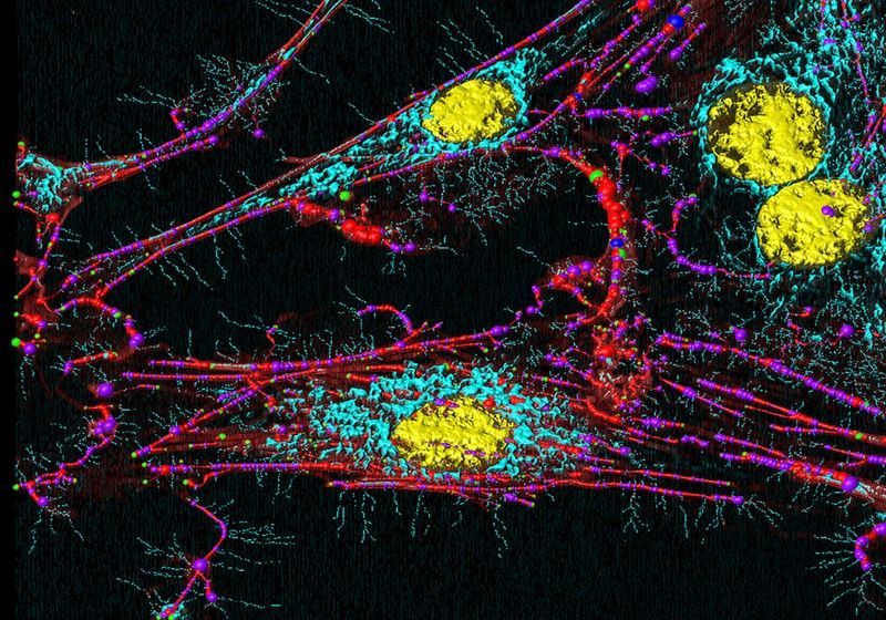 Funding Opportunity: Stepping Up Spatial -Omics | The Scientist