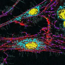 Canopy Biosciences Profile | The Scientist