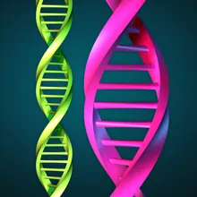 Genetic Disease | The Scientist