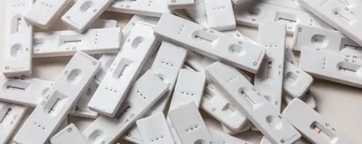 Go with the Flow: Adapting Lateral Flow Assays for Nucleic Acid ...