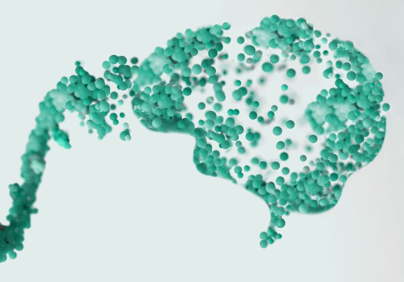 The Noncoding Regulators Of The Brain Ts Digest The Scientist