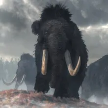 Why Did Mammoths Go Extinct? Environmental DNA and Climate Change Hold ...