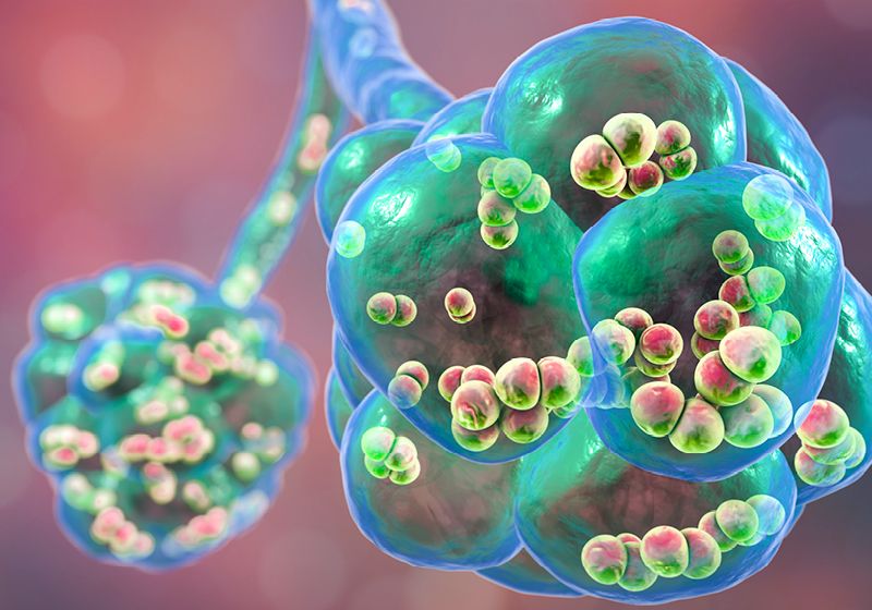 Rapid Multiplexed Antigen Analysis | The Scientist