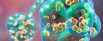 Rapid Multiplexed Antigen Analysis | The Scientist