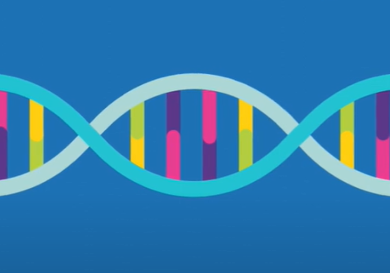 Cooking up the Perfect PCR Reaction | The Scientist