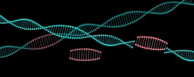Jumping Genes Can Cause Movement Disorder: Study | The Scientist