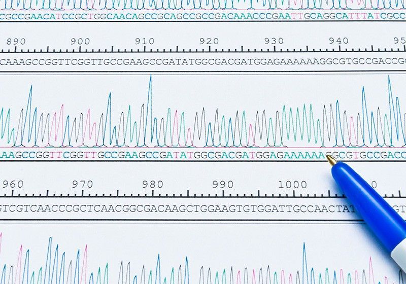Brush Up: What Is Bisulfite Sequencing and How Do Researchers Use It to ...