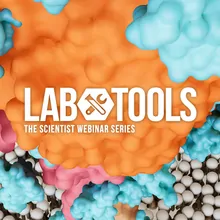 Vector Laboratories Profile | The Scientist