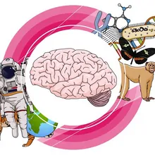 Mind the Graph Profile | The Scientist