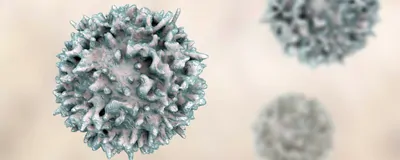 T Cells Ward Off Aging with Help from Their Friends | The Scientist