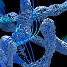 Intinsically Disordered Proteins | The Scientist