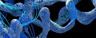 Fungal Cold Adaptation Linked to Protein Structure Changes: Study | The ...