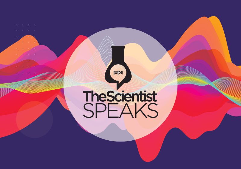 The Scientist Speaks - What Comes Up Must Go Down: Maintaining Hormone ...