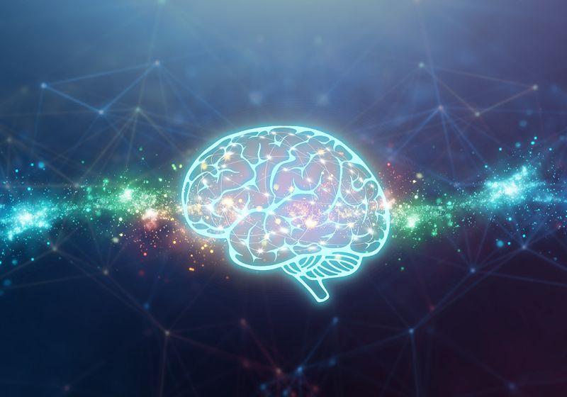 Next-Level Neuroscience | The Scientist