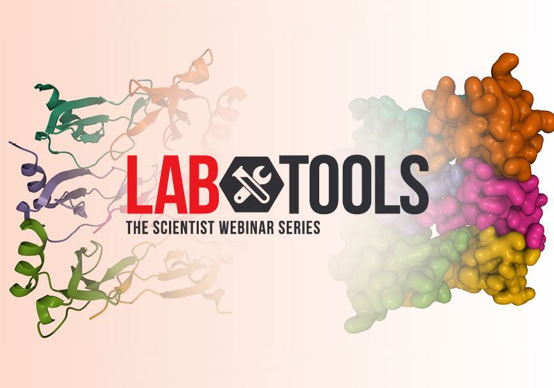 Automated Mass Photometry | The Scientist