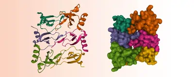 Characterizing Protein Oligomerization Dynamics with Automated Mass ...