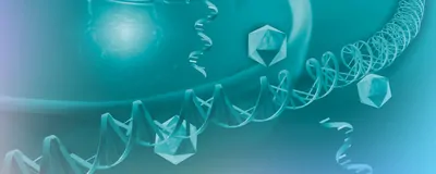 Do Epigenetic Changes Influence Evolution? | The Scientist