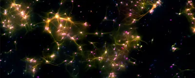 How Neurons in a Dish Learned to Play “Pong” | The Scientist