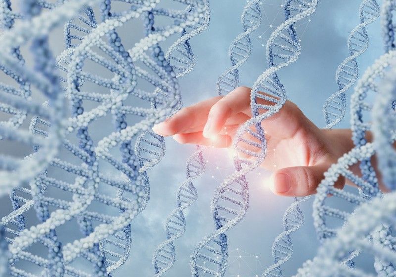 Best Practices for Preparing High-Quality DNA Samples | The Scientist