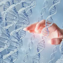 Bertin Instruments Profile | The Scientist