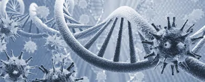 Ancient Viral DNA Plays a Role in Human Disease and Development | The ...