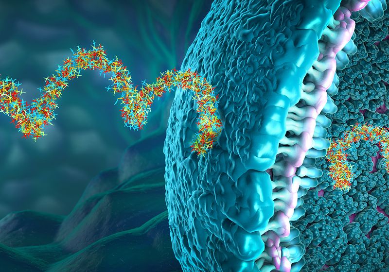 Advancing CAR T Cell Research and Development | The Scientist