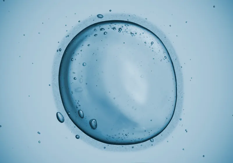 Reproductive Biology | The Scientist