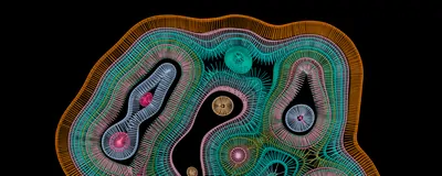 How Intracellular Bacteria Hijack Your Cells | The Scientist