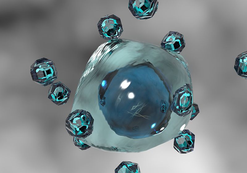 Using Nanoparticles in Targeted Drug Delivery and Photothermal Therapy ...