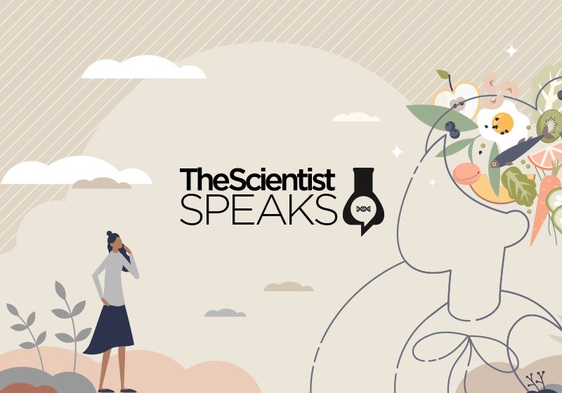 The Scientist Speaks - The Fight Against Time: Stem Cells and Healthy ...