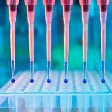 BellBrook Labs Profile | The Scientist