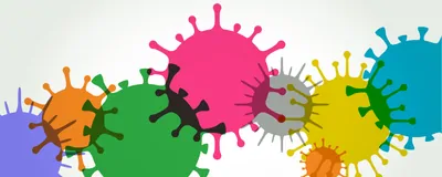 What Happens When You Catch More than One Virus? | The Scientist