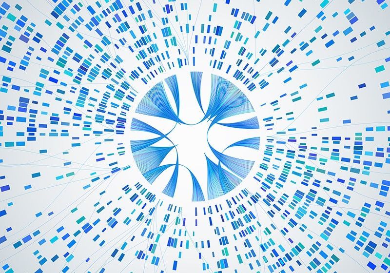 Unearthing Hidden Family Secrets: Tracing the Lineage of a Centuries ...