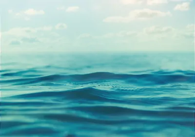 Oceanography | The Scientist