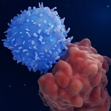 Genetic Engineering | The Scientist