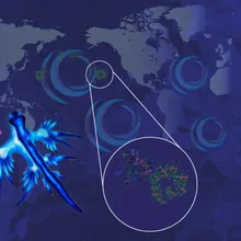 Zoology | The Scientist