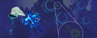 Oceanography | The Scientist