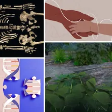 Genetics & Genomics | The Scientist