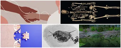 Our Favorite Genetics Stories of 2022 | The Scientist