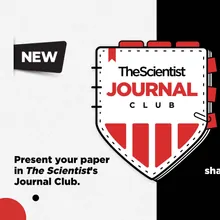 Journal Club | The Scientist