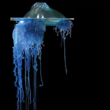 Amanda Heidt Author Profile | The Scientist