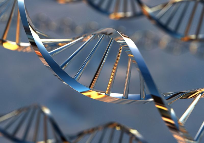 Humans Are Still Evolving Thanks to Microgenes | The Scientist