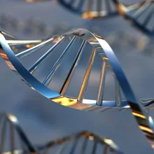 Open Reading Frame (ORF) | The Scientist