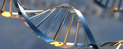 Humans Are Still Evolving Thanks to Microgenes | The Scientist