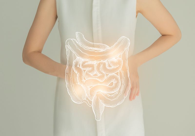 “Gut Feeling” Takes on New Meaning | The Scientist
