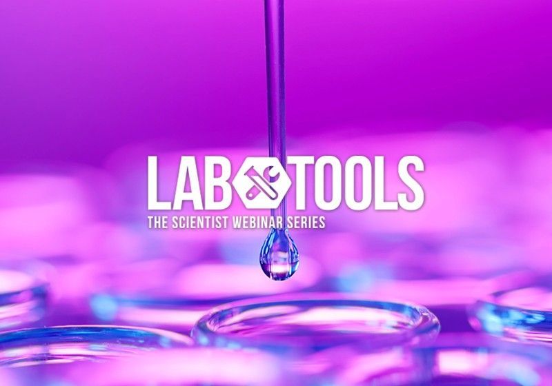 Better Ways To Extract Dna The Scientist Magazine® 