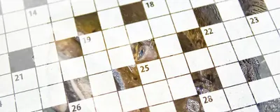 February 2023 Interactive Crossword Puzzle | The Scientist